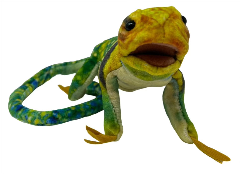 Mini Collared Lizard Finger Puppet – Canyonlands Natural History ...