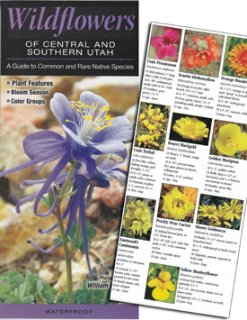 Wildflowers of Central and Southern Utah: A Guide to Common and Rare N ...
