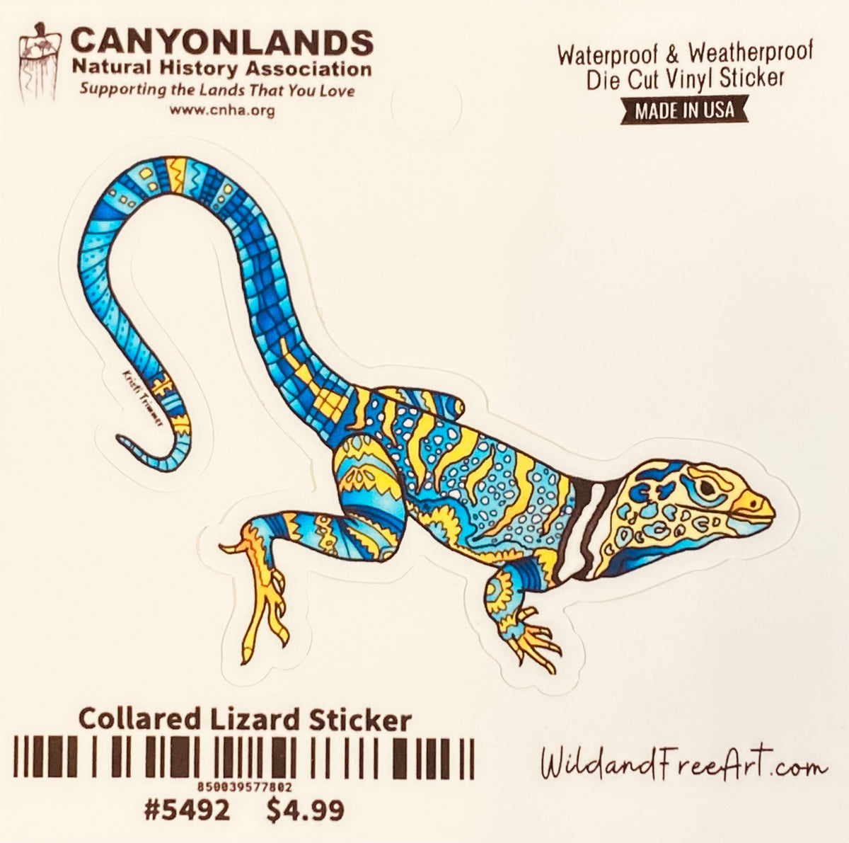 Collared Lizard Sticker – Canyonlands Natural History Association